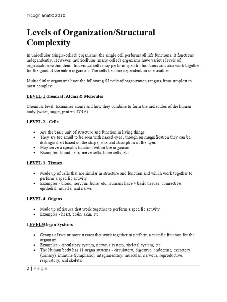 Levels of Organization | PDF | Wellness