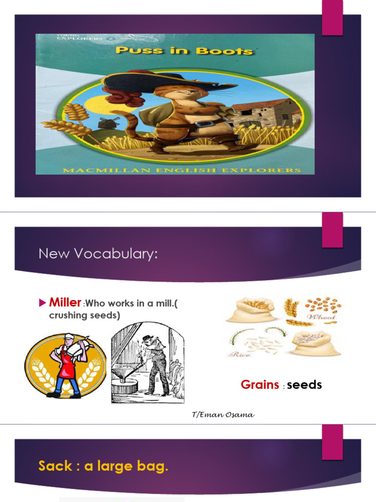 Puss in Boots Story Pg.2-16 Vocabulary&Amp Booklet Answer Key | PDF