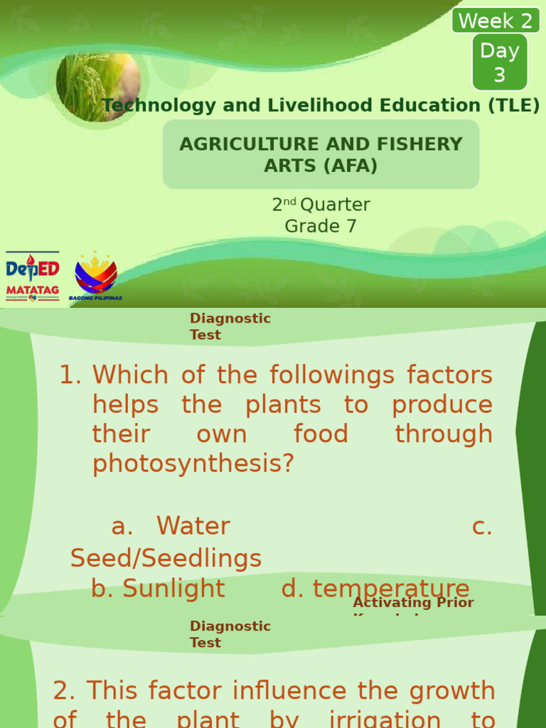 TLE 7 AFA Week 2 Day 3 | PDF | Agriculture | Crops