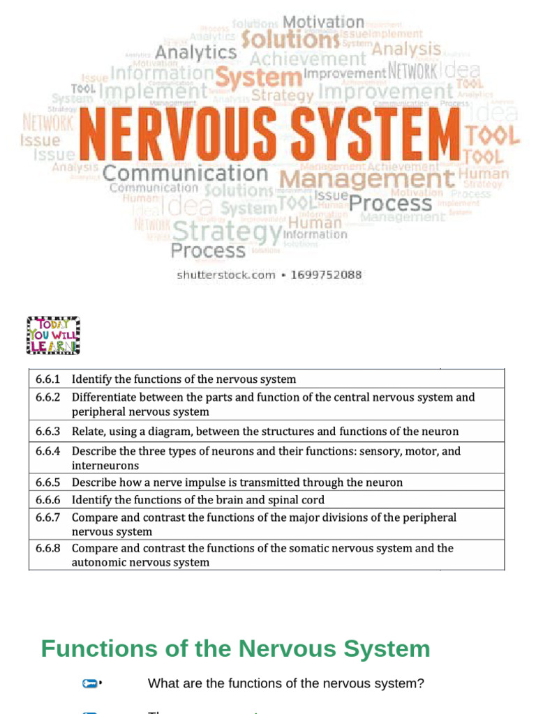 The Nervous System Grade-10 ASP | PDF | Neuron | Axon