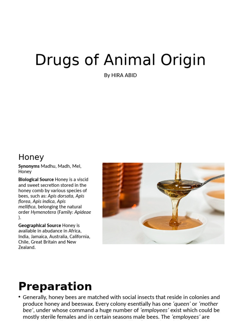 Overview of Animal-Origin Drugs | PDF | Honey | Gelatin
