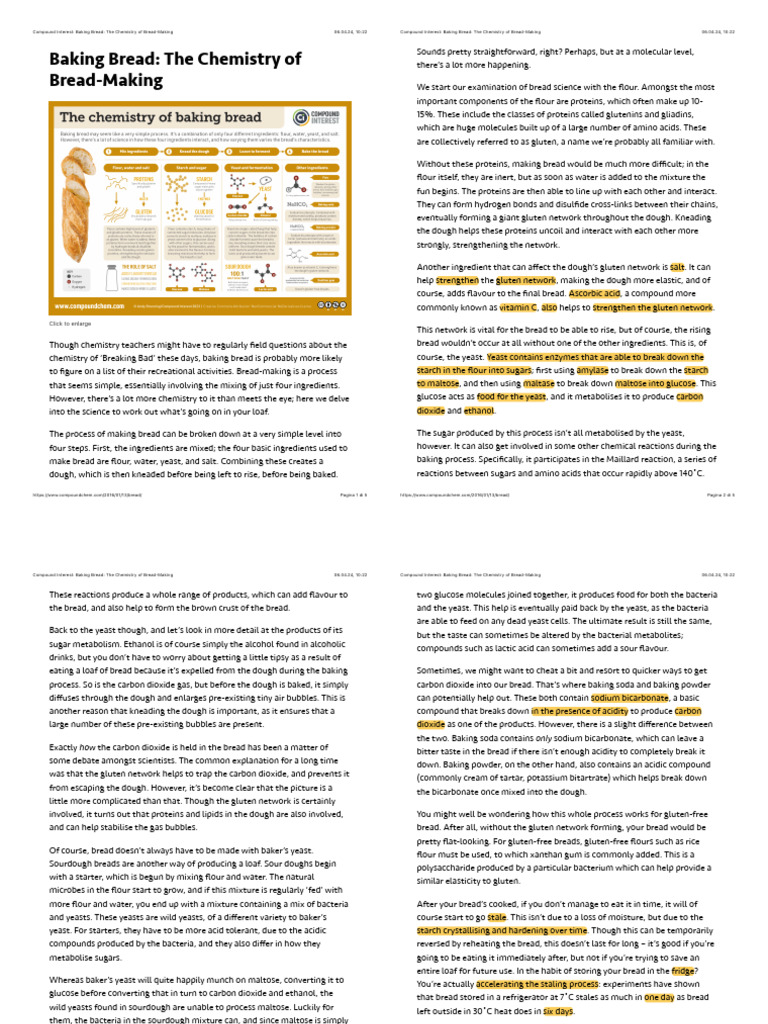 Baking Bread: The Chemistry of Bread-Making | PDF | Breads | Sourdough