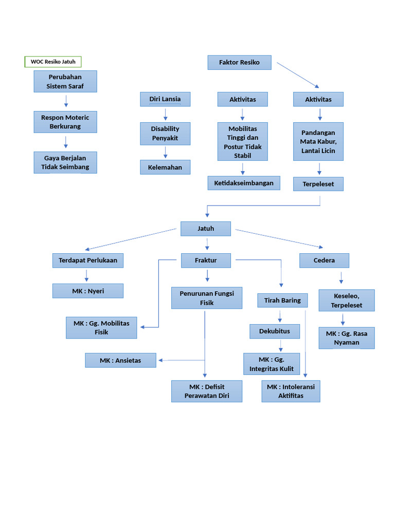 Pathway Risiko Jatuh pada Lansia | PDF