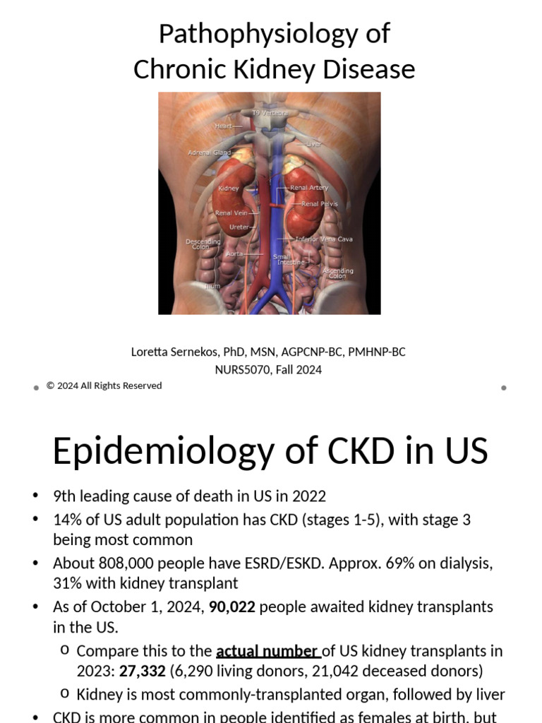 Ckd+Patho+Nurs5070+Fall+2024 | PDF | Hemodialysis | Creatinine