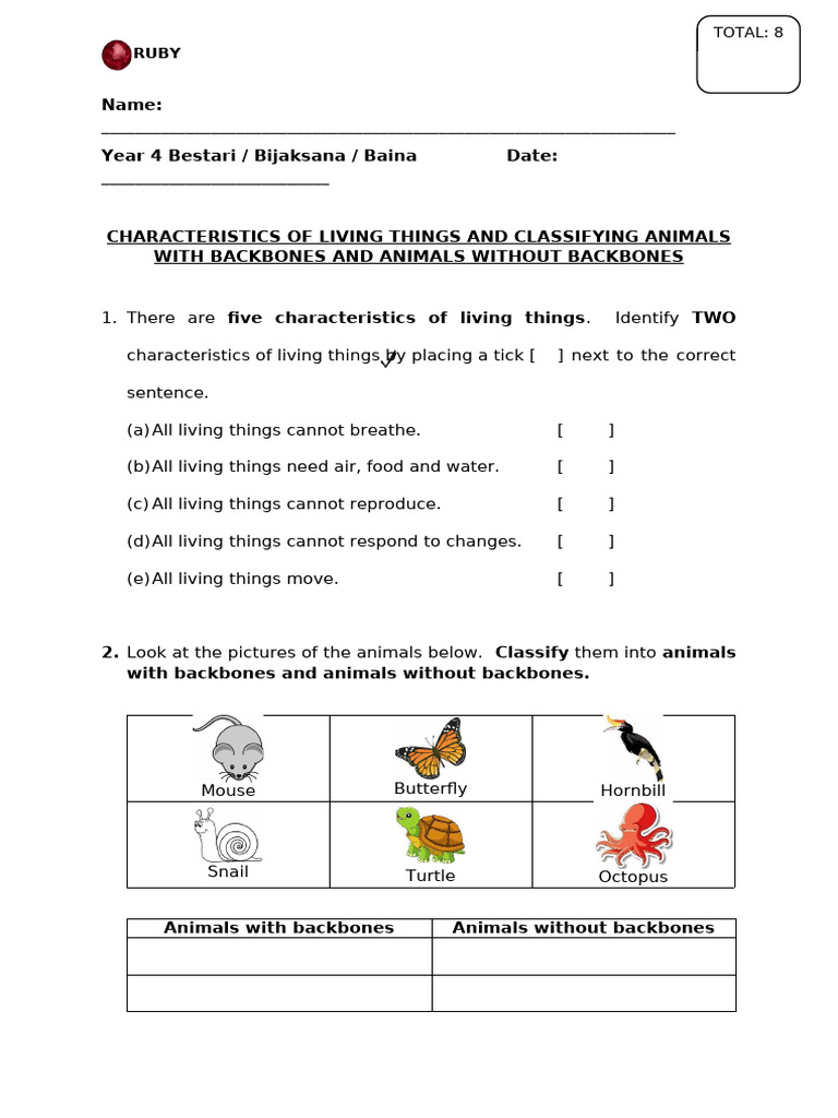 Ruby (Tier 3) Worksheet | PDF