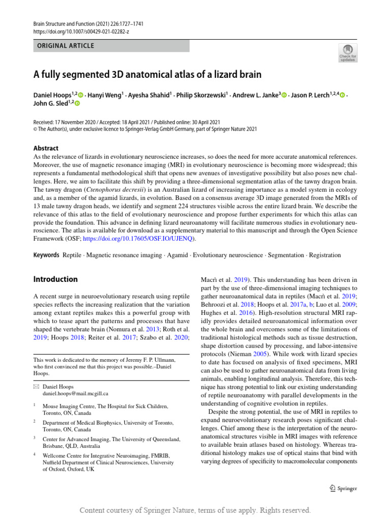 A_fully_segmented_3D_anatomical_atlas_of_a_lizard_ | PDF | Magnetic ...