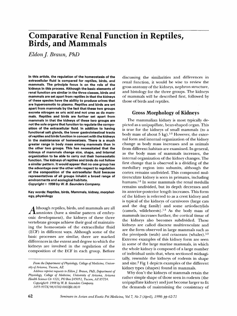 Comparative Renal Function in Reptiles, Birds, and Mammals | PDF ...