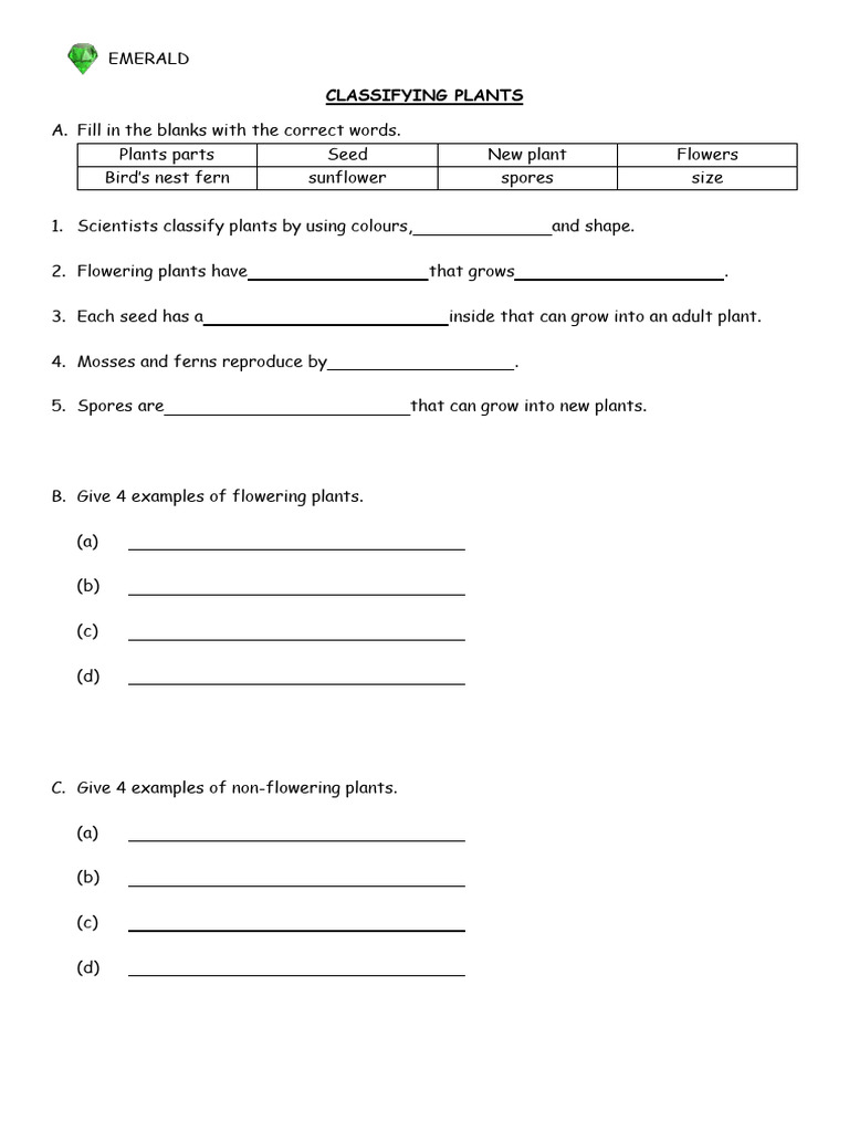 Plant Classification and Examples Guide | PDF