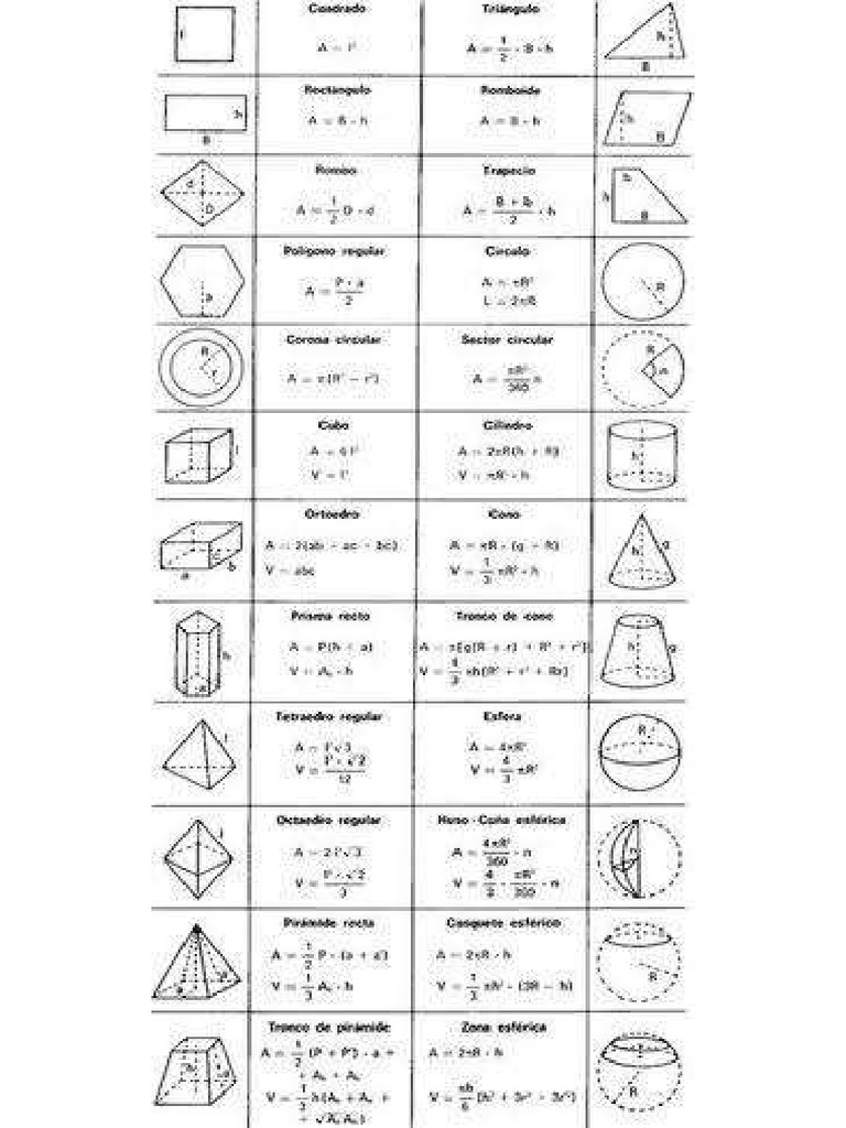 1000074599 | PDF