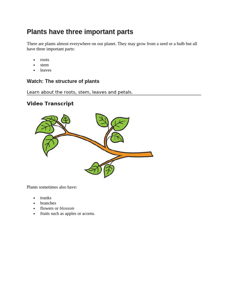 Plant Parts | PDF