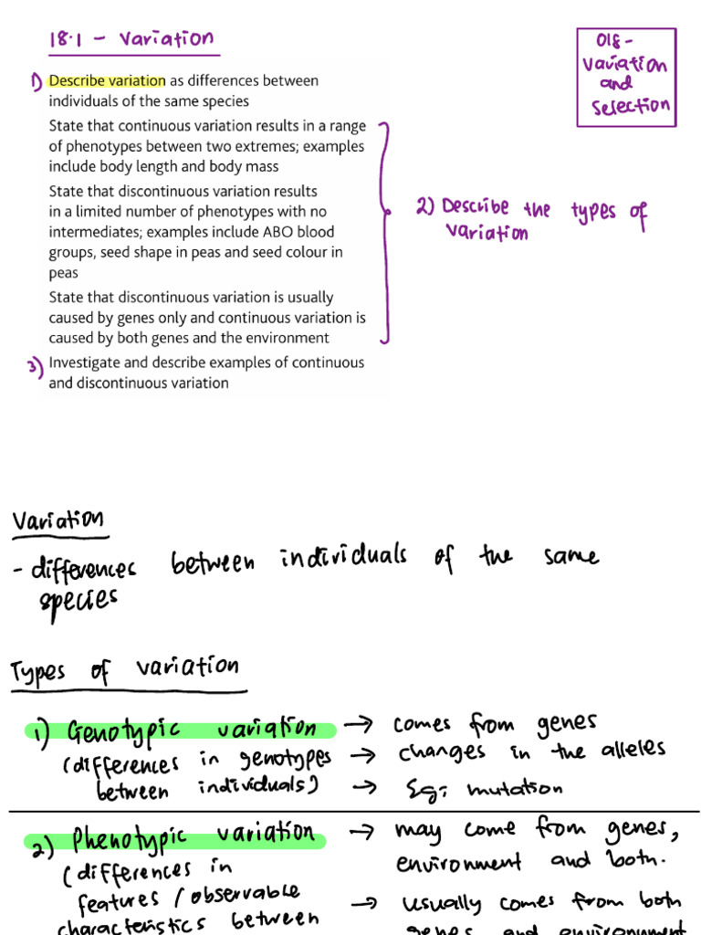 Chapter 18 - Variation | PDF | Genetic Diversity | Mutation