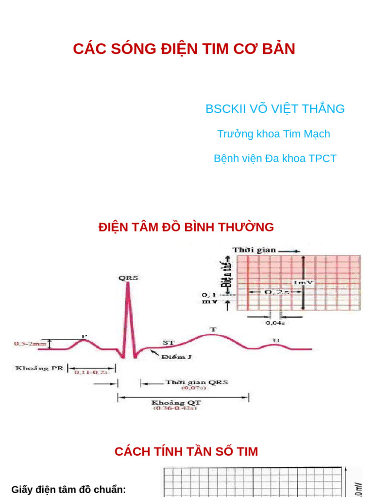 Sóng Ecg Cơ Bản | PDF