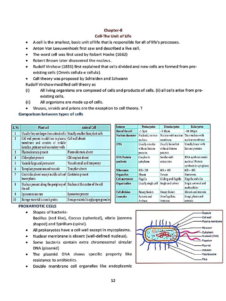 Cell The Unit of Life | PDF