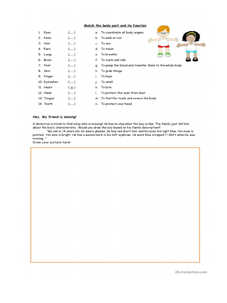 Bahasa Inggris Kelas 5 - Parts of Body | PDF