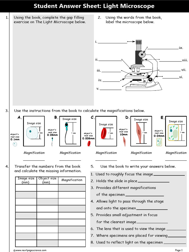 Workbook KS3 Biology Student Answer Sheets | PDF | Respiratory System ...