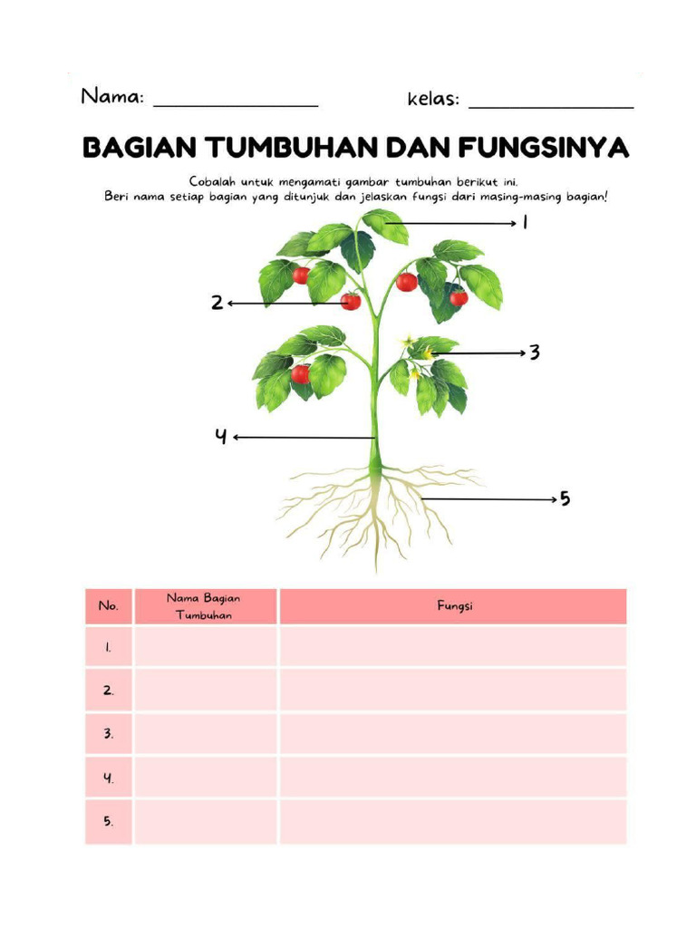 Tugas Ipas Pohon | PDF