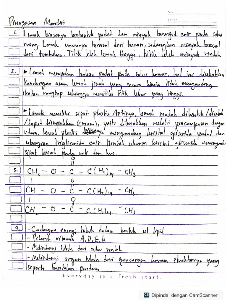 LKPD Makromolekul Lemak | PDF