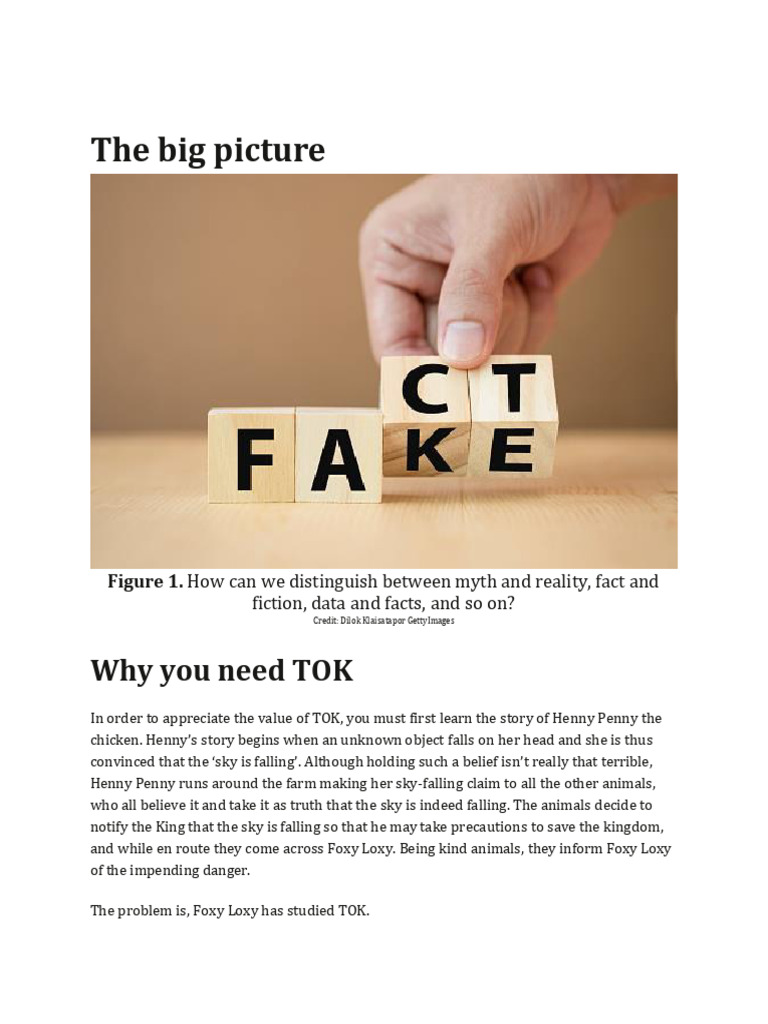 Introduction To TOK - Big Picture - Kognity Reading | PDF | Knowledge ...