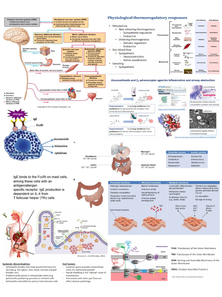bio cheat sheet | PDF