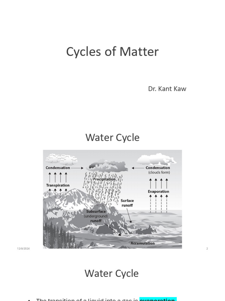 Cycles of Matter | PDF | Food Web | Environmental Science