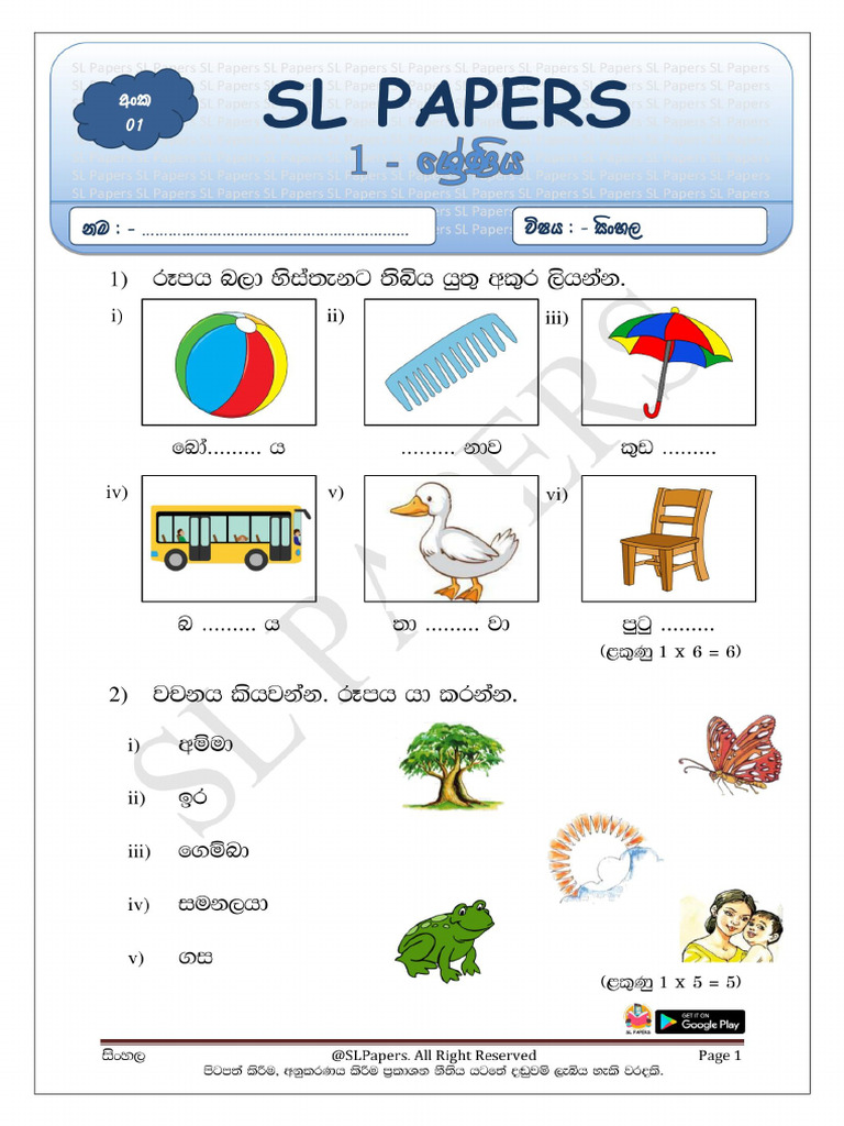 Sinhala Paper 01 | PDF