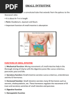 Succus Entericus New | PDF | Digestive System | Gastroenterology