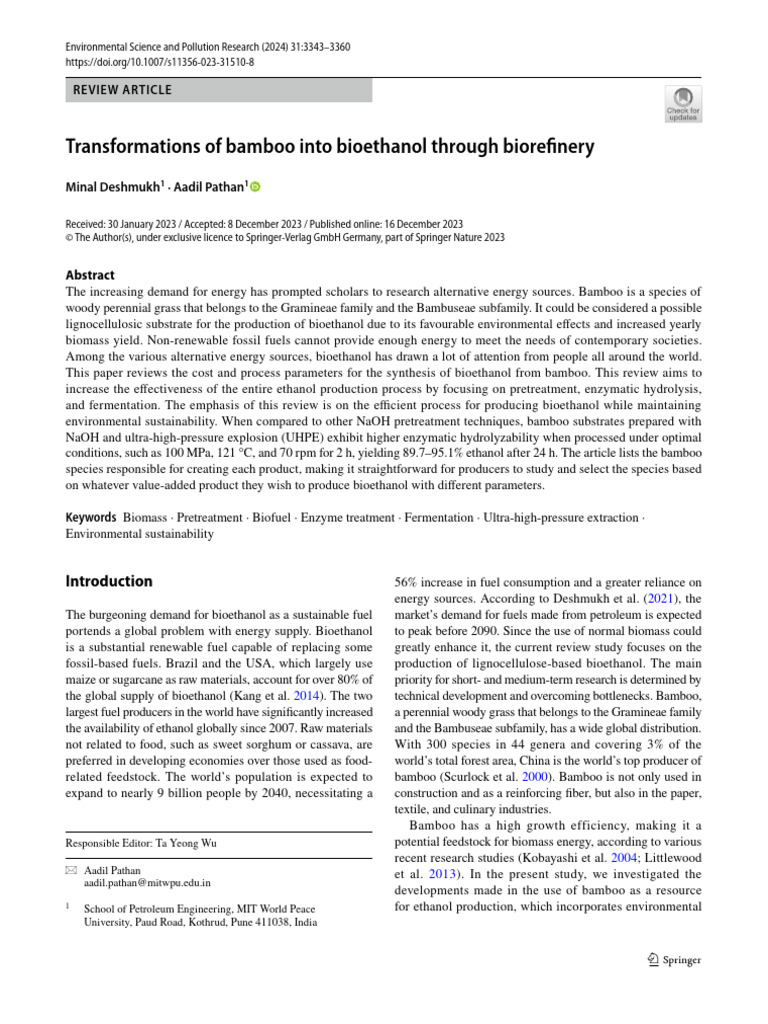 Transformation of Bamboo Into Bioethanol Throu Biorefinery | PDF ...