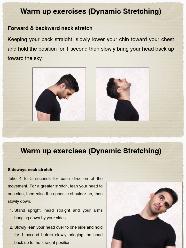 Dynamic Warm-Up and Stretching Guide | PDF | Musculoskeletal System ...