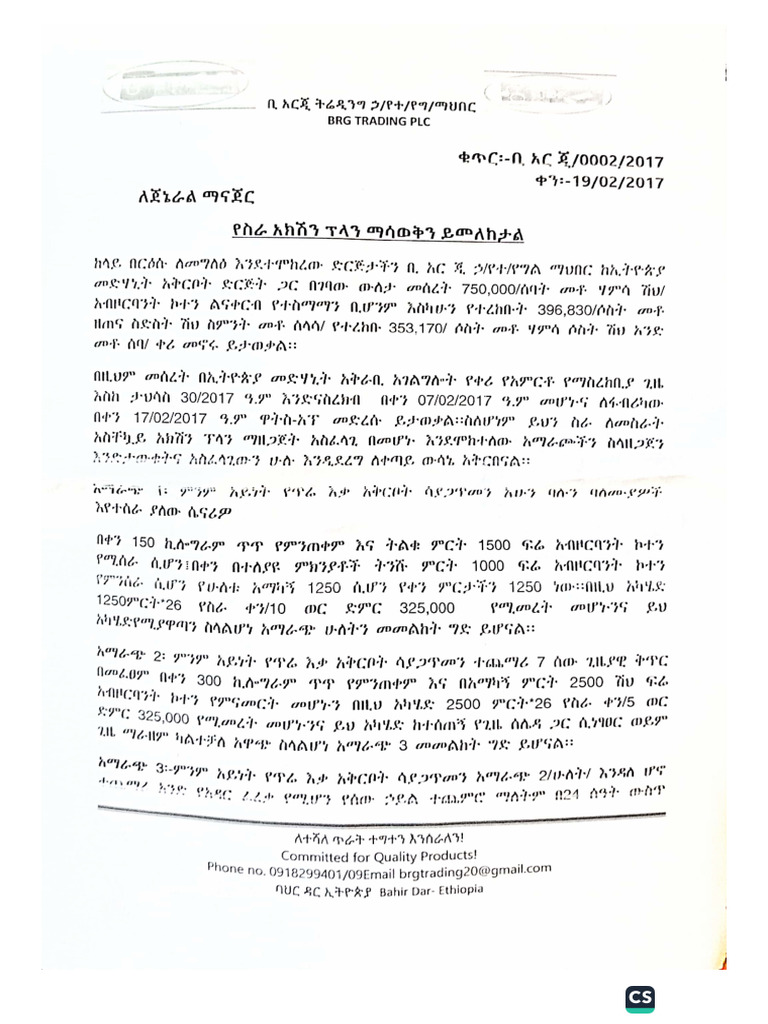 Action Plan BRG | PDF