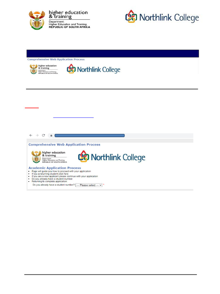 Step-by-Step Application Guide | PDF | Software | Computing