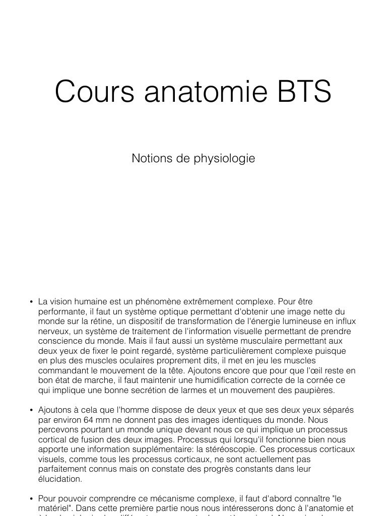 Bts Anat Physio Pdf Cornée Rétine