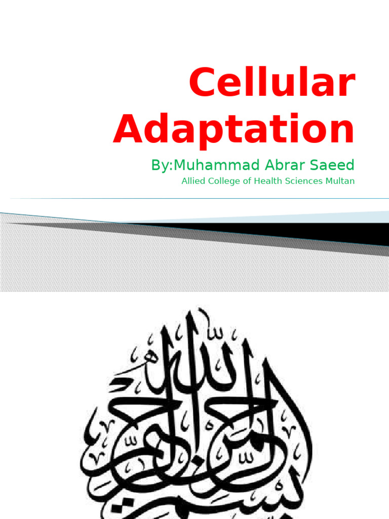 2..cellular Adaptation | PDF | Atrophy | Biology