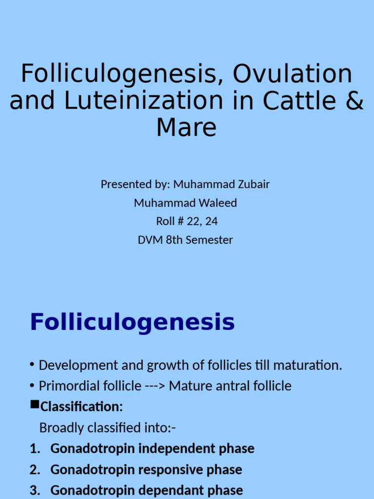 Presentation WPS Office | PDF | Animal Female Reproductive System ...