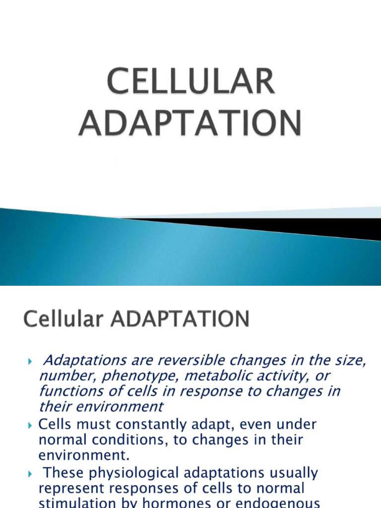 Cellular Adaptations | PDF