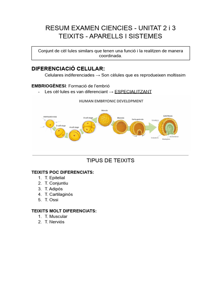 RESUM EXAMEN CIENCIES - UNITAT 2 I 3 | PDF