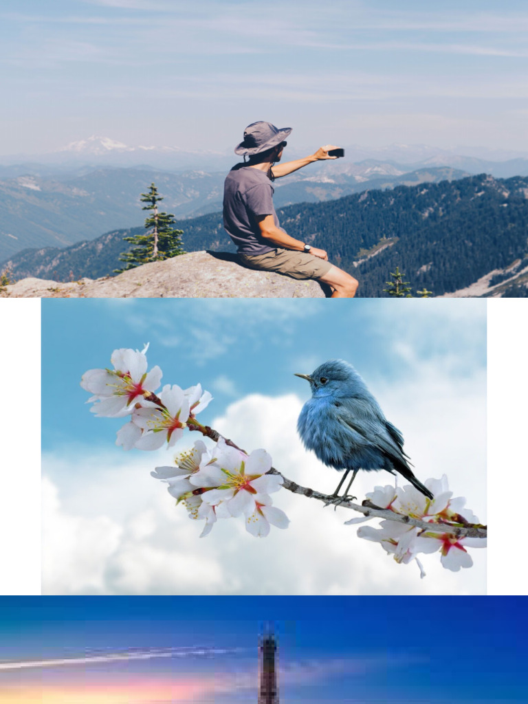 Pictorial Activity | PDF