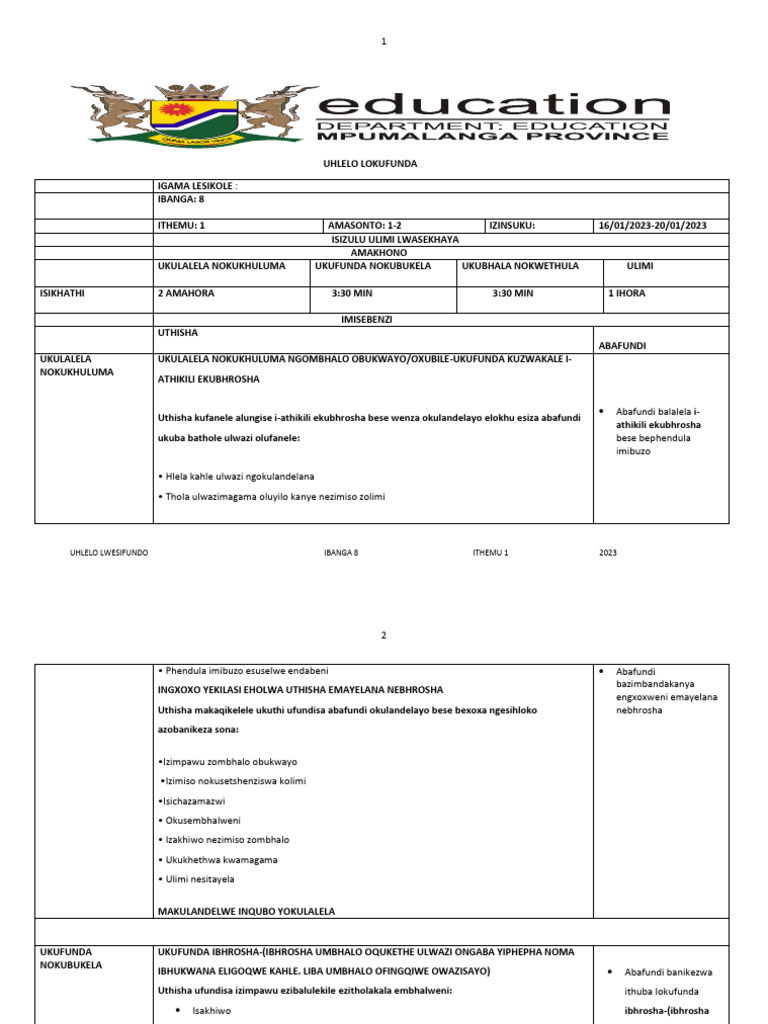 Isizulu Lesson Plan for Grade 8 | PDF