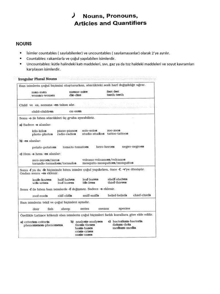 Nouns, Pronouns, Articles, Quantifiers (1) | PDF