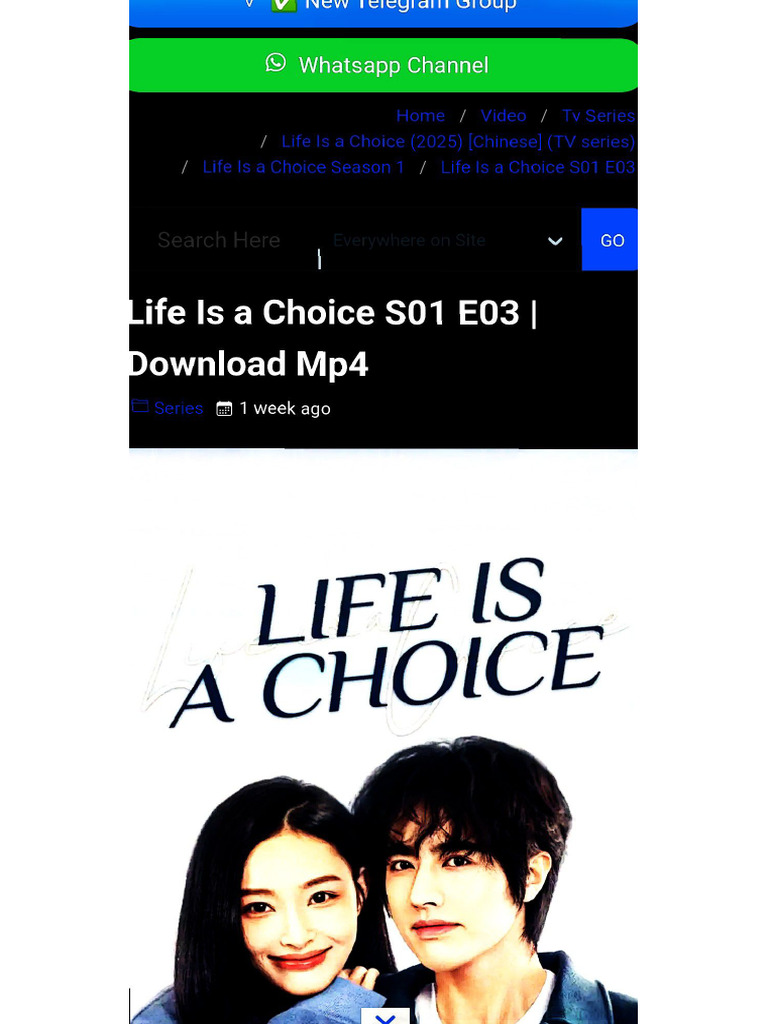 PDFReader 20250112 1549x | PDF