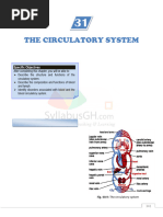 Blood and Circulation, iGCSE Biology | PDF | Circulatory System ...