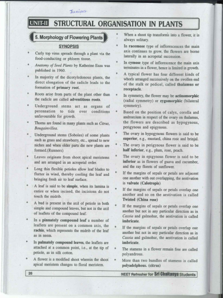 JR Structural Organisation | PDF