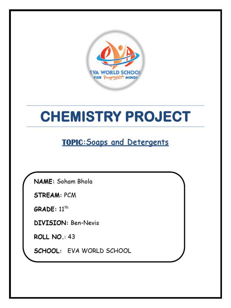 Chemistry Project | PDF | Water | Soap