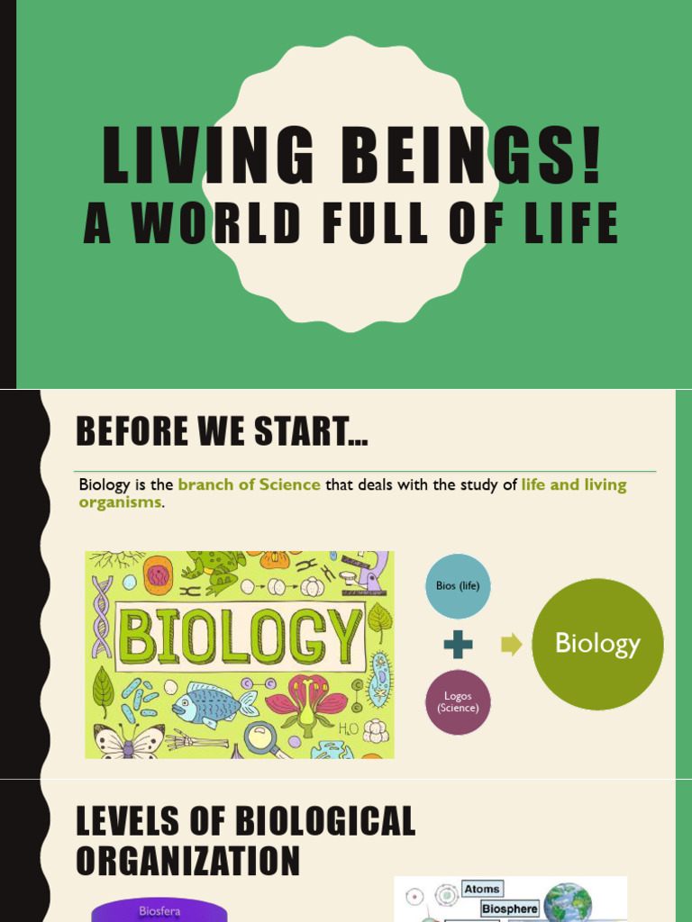 Understanding Biological Organization | PDF | Cell (Biology) | Eukaryotes