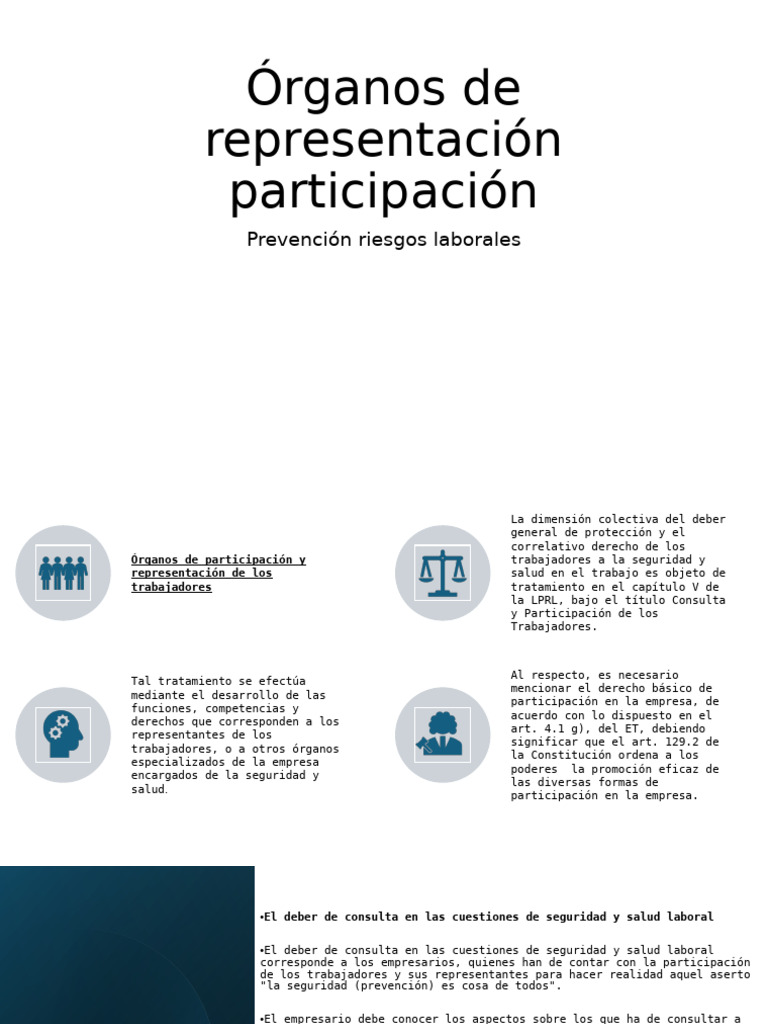 Tema 8 Ã - Rganos de Representaciony Participacion | PDF | Seguridad y salud ocupacional ...