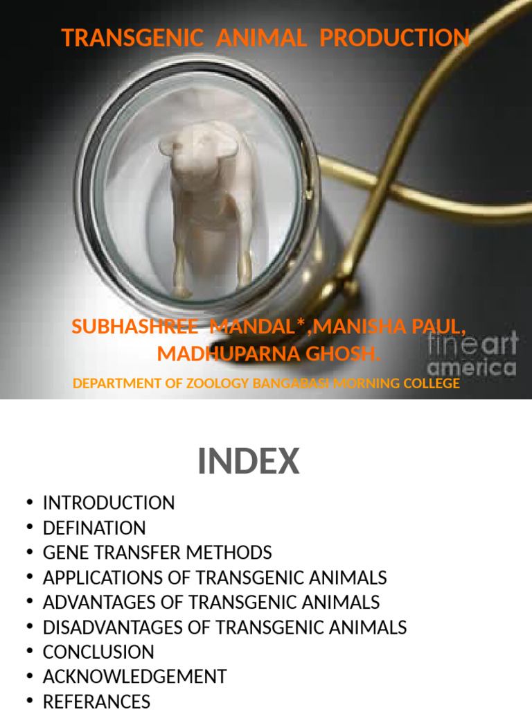 Transgenic Animal Production | PDF | Transgene | Genetically Modified ...