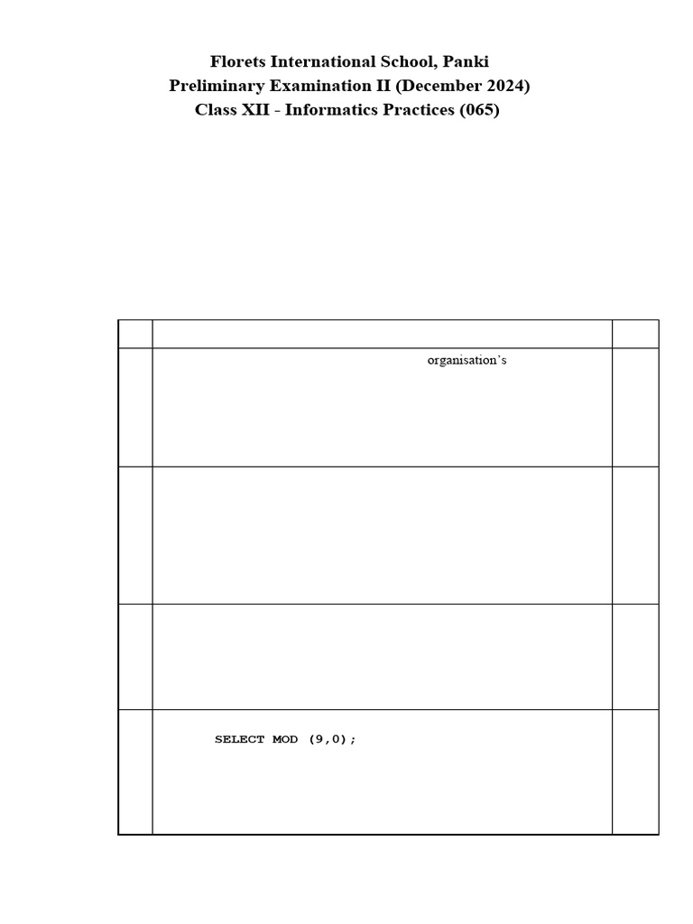 IP_2nd_Prelim_2024_25 | PDF | Computing
