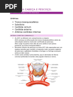 Forames Do Crânio | PDF | Neuroanatomia | Anatomia humana