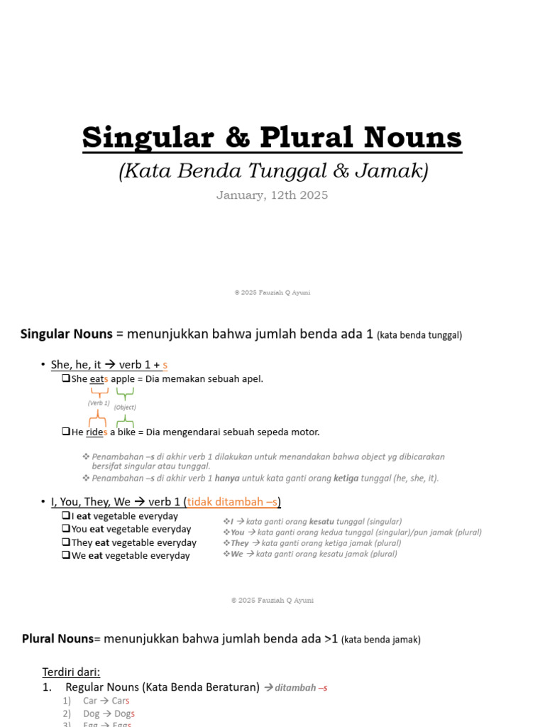 Singular & Plural Pronouns - MsFau | PDF | Grammatical Number | Plural