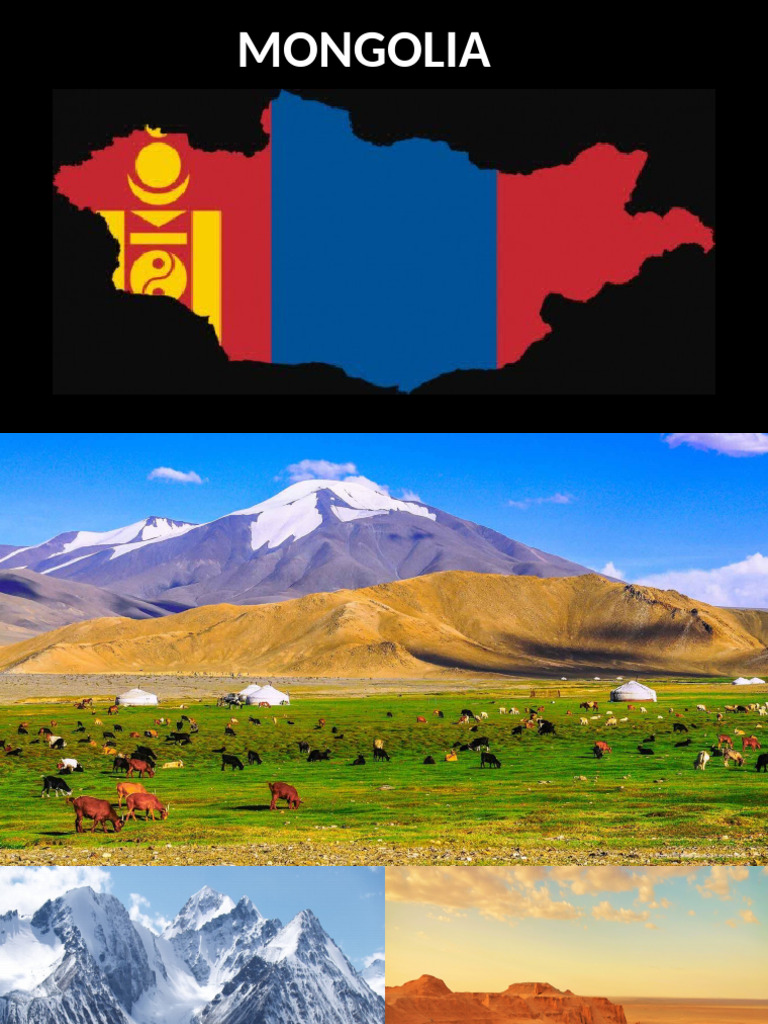 mongolia_mentoring | PDF