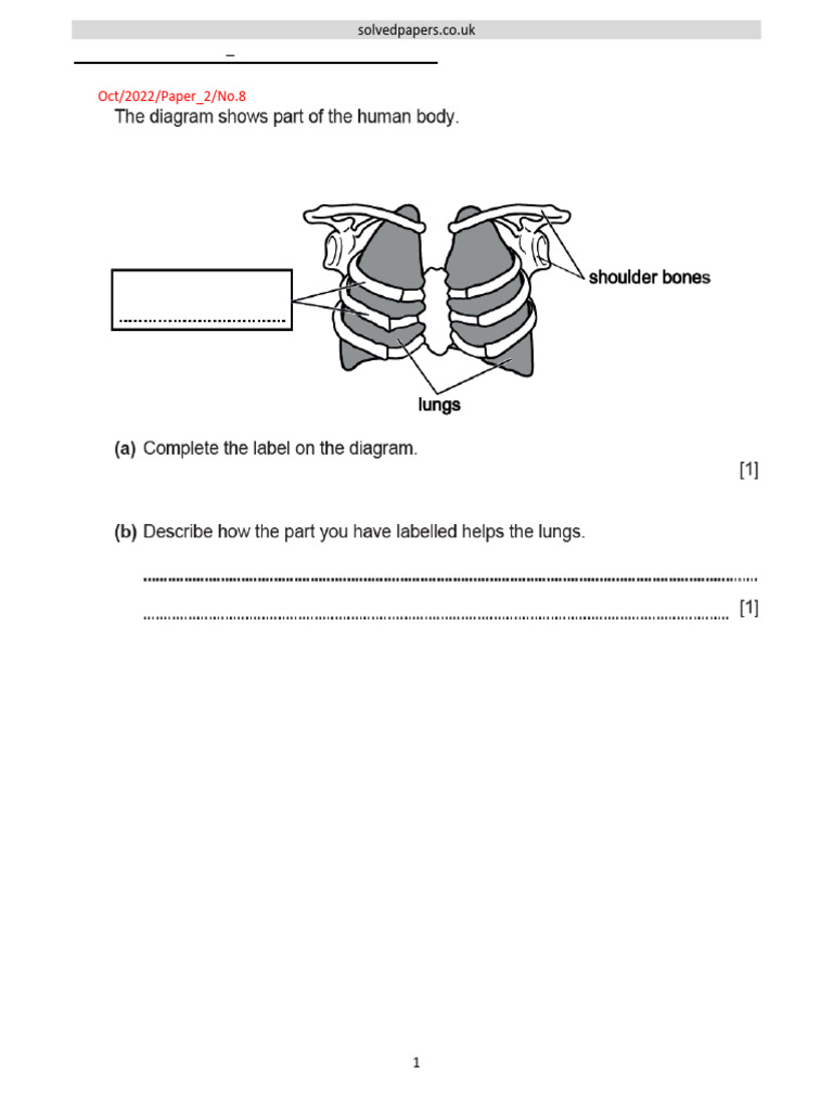 Skeleton and Muscles Biology Paper | PDF